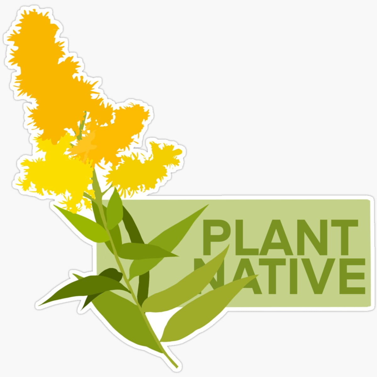 Kira Goldenrod Plant Native Botanical Illustration Sticker Decorative ...