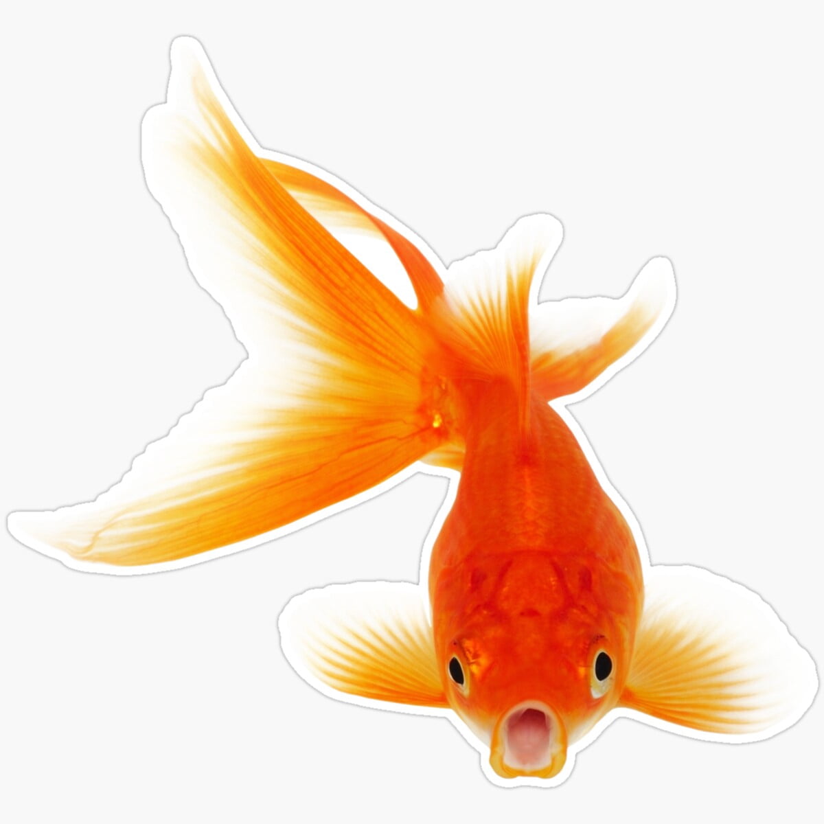 Kira Goldfish Sticker Decorative Laptop, Phone Stickers, Waterproof ...