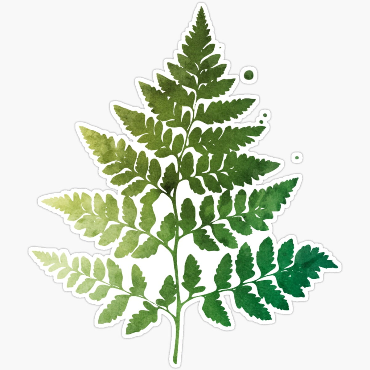 Kira Green Fern Leaf Sticker Decorative Laptop, Phone Stickers ...