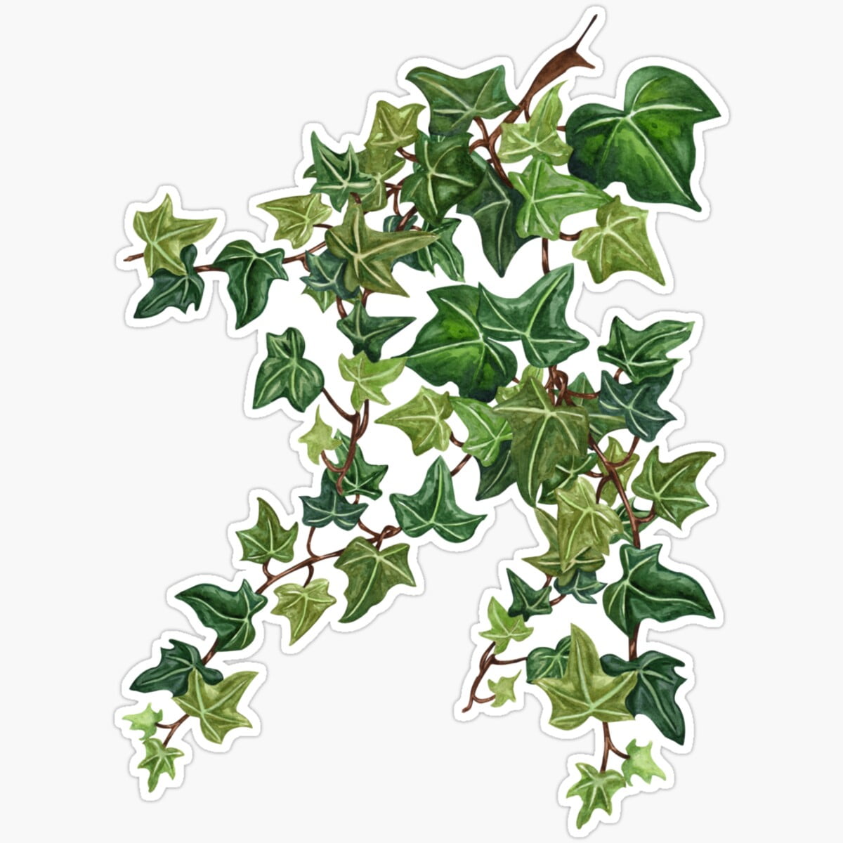 Kira Green Ivy Sticker Decorative Laptop, Phone Stickers, Waterproof ...