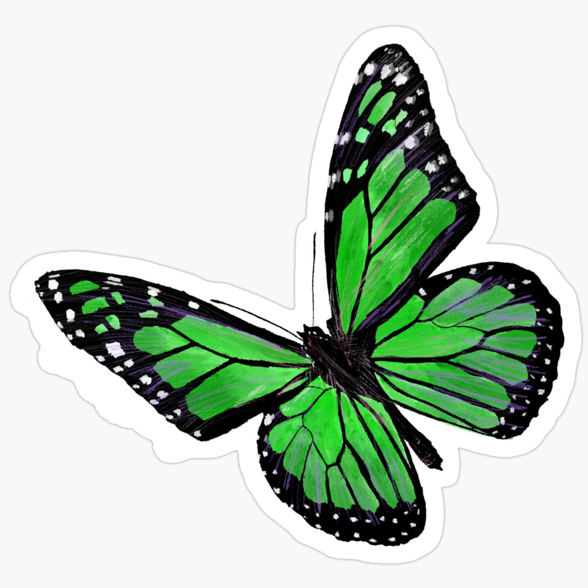 Kira Green butterfly Sticker Waterproof Sticker for Water Bottles ...