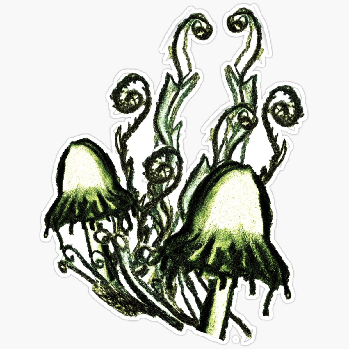 Kira Green inkcap mushrooms and ferns, cottagecore charcoal drawing ...