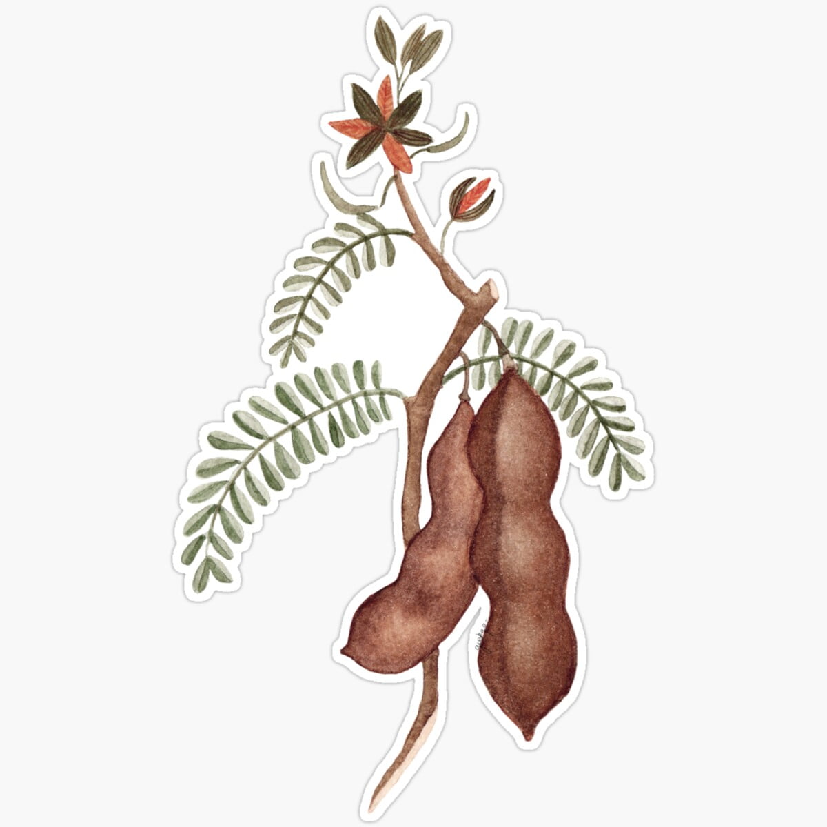 Kira Grind Tamarind Sticker Decorative Laptop, Phone Stickers ...
