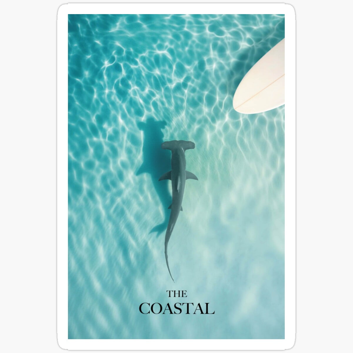 Kira Hammerhead Shark Sea Ocean Sticker Waterproof Sticker for Water ...