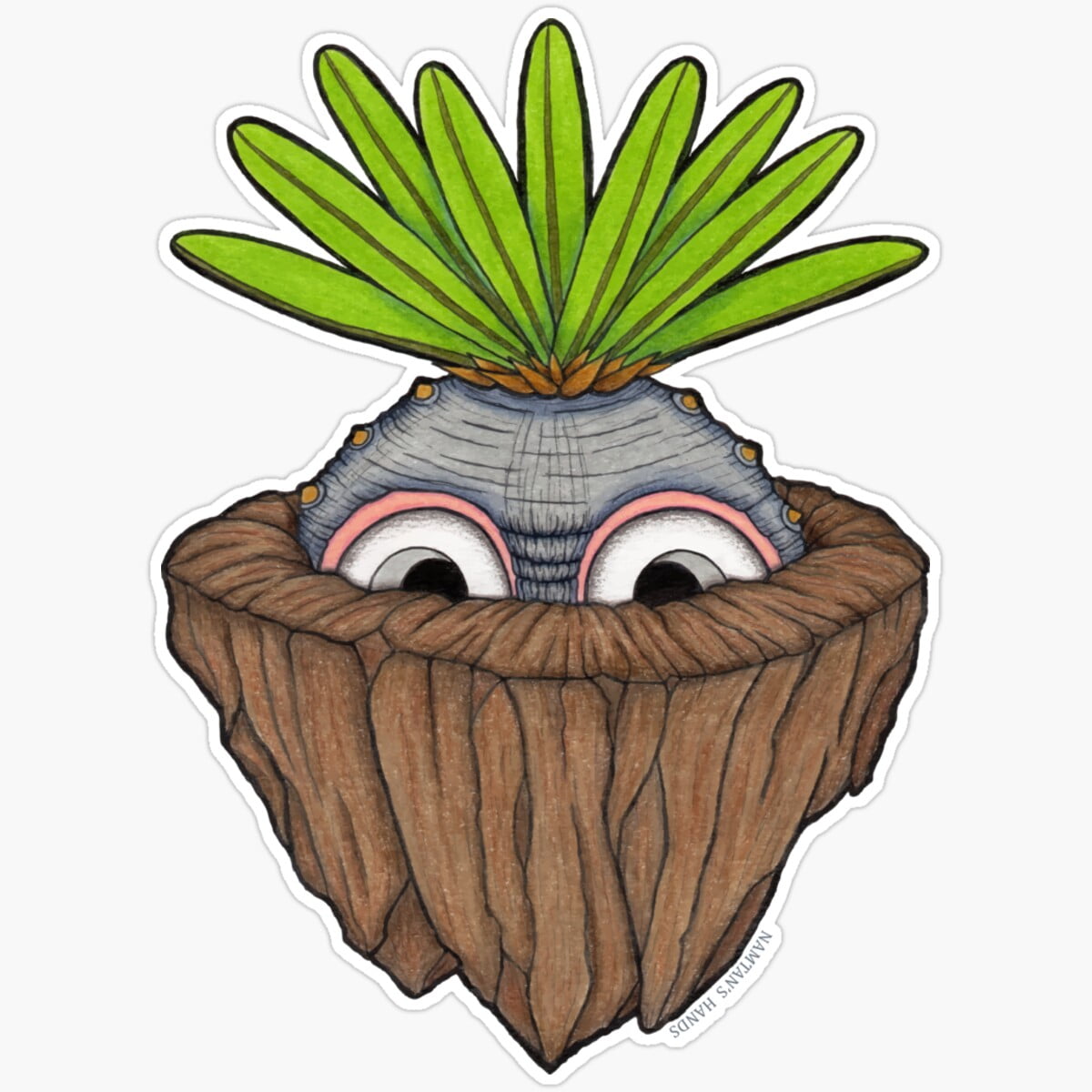Kira Hiding Pachypodium Caudex Sticker Decorative Laptop, Phone ...