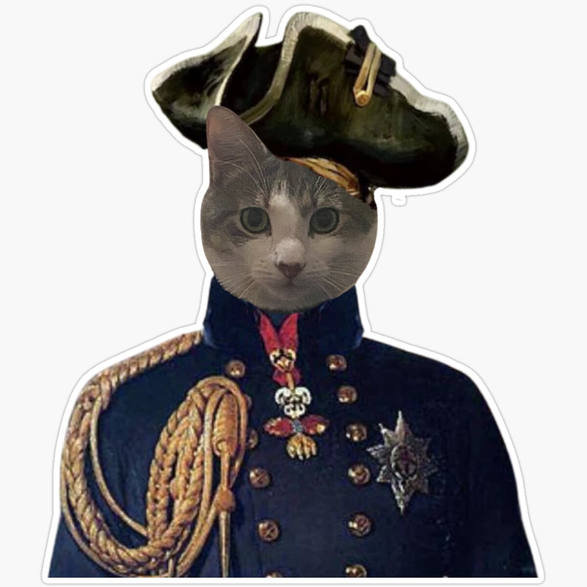 Kira Historic Pirate Cat Portrait Sticker Decorative Laptop, Phone ...