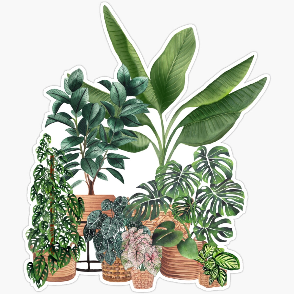 Kira House Plants Illustration 15 Sticker Decorative Laptop, Phone ...