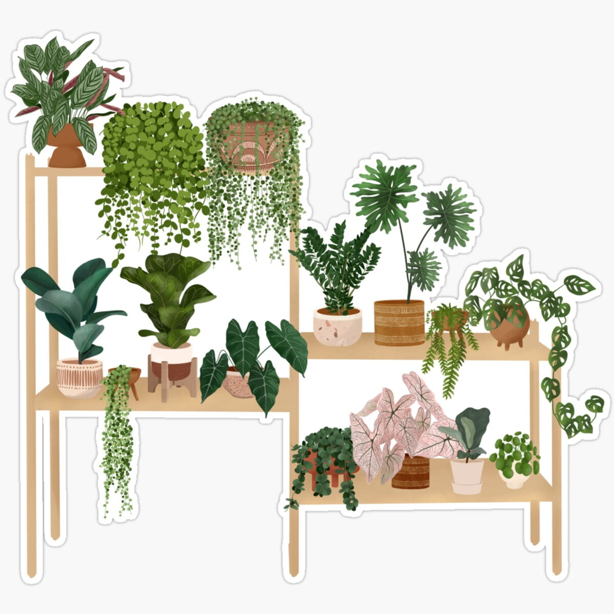Kira House plants illustration 37, Plant shelf art Sticker Decorative ...