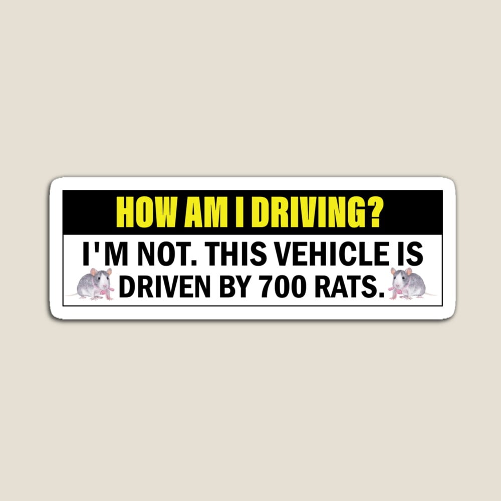 Kira - How Am I Driving? I'M Not This Vehicle Is Driven By 700 Rats ...