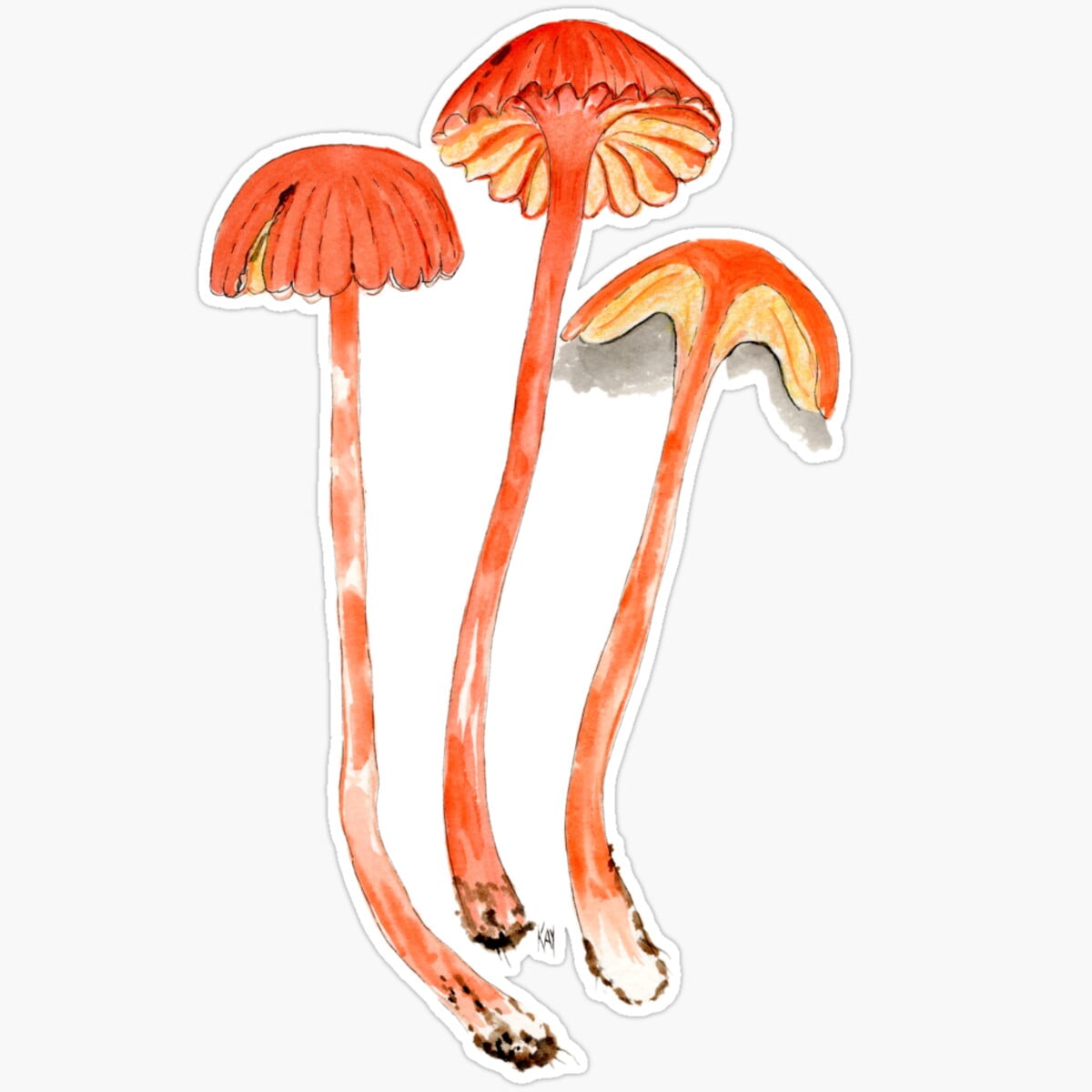 Kira Hygrocybe cantharellus by Kay Smith Sticker Decorative Laptop ...