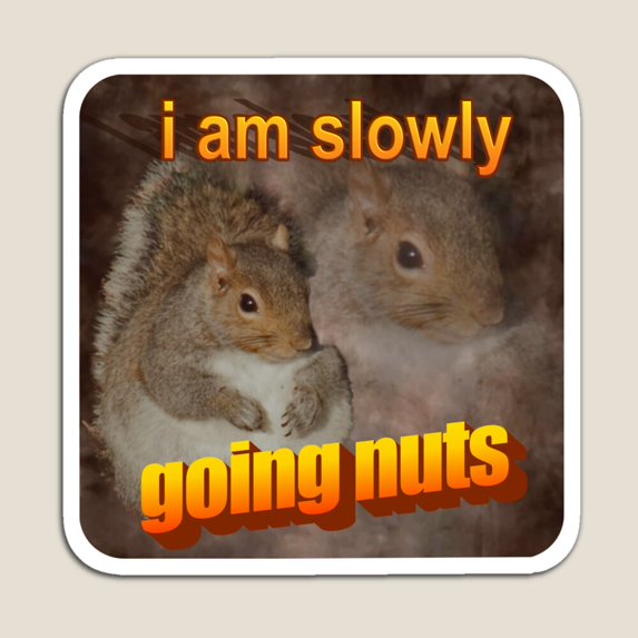 Kira - I Am Slowly Going Nuts Squirrel Word Art Sticker - 7012 Hot ...