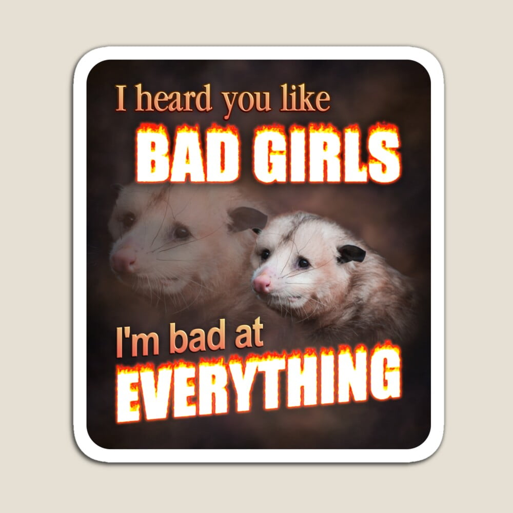 Kira - I Hear You Like Bad Girls - I'M Bad At Everything Possum Word ...