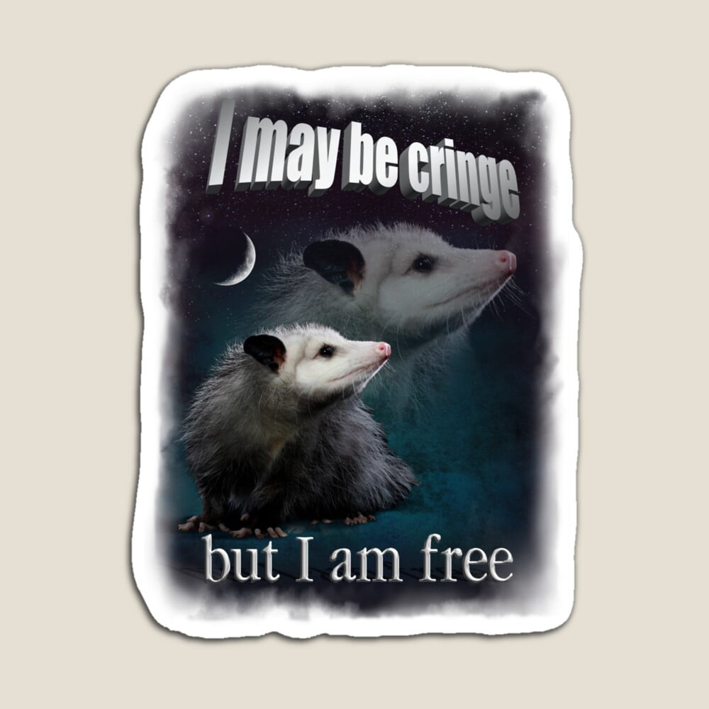 Kira - I May Be Cringe, But I Am Free Possum Sticker - 7006 Hot ...