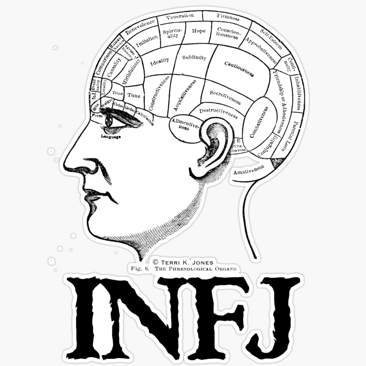 Kira INFJ Myers-Briggs Personality Test Sticker Decorative Laptop ...