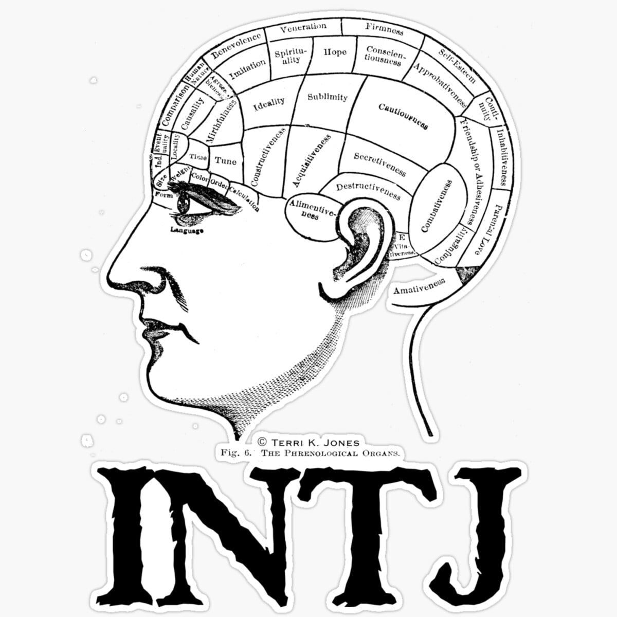 Kira INTJ Myers-Briggs Personality Test Sticker Decorative Laptop ...