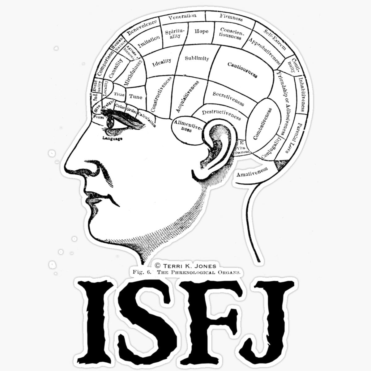 Kira ISFJ Myers-Briggs Personality Test Sticker Decorative Laptop ...