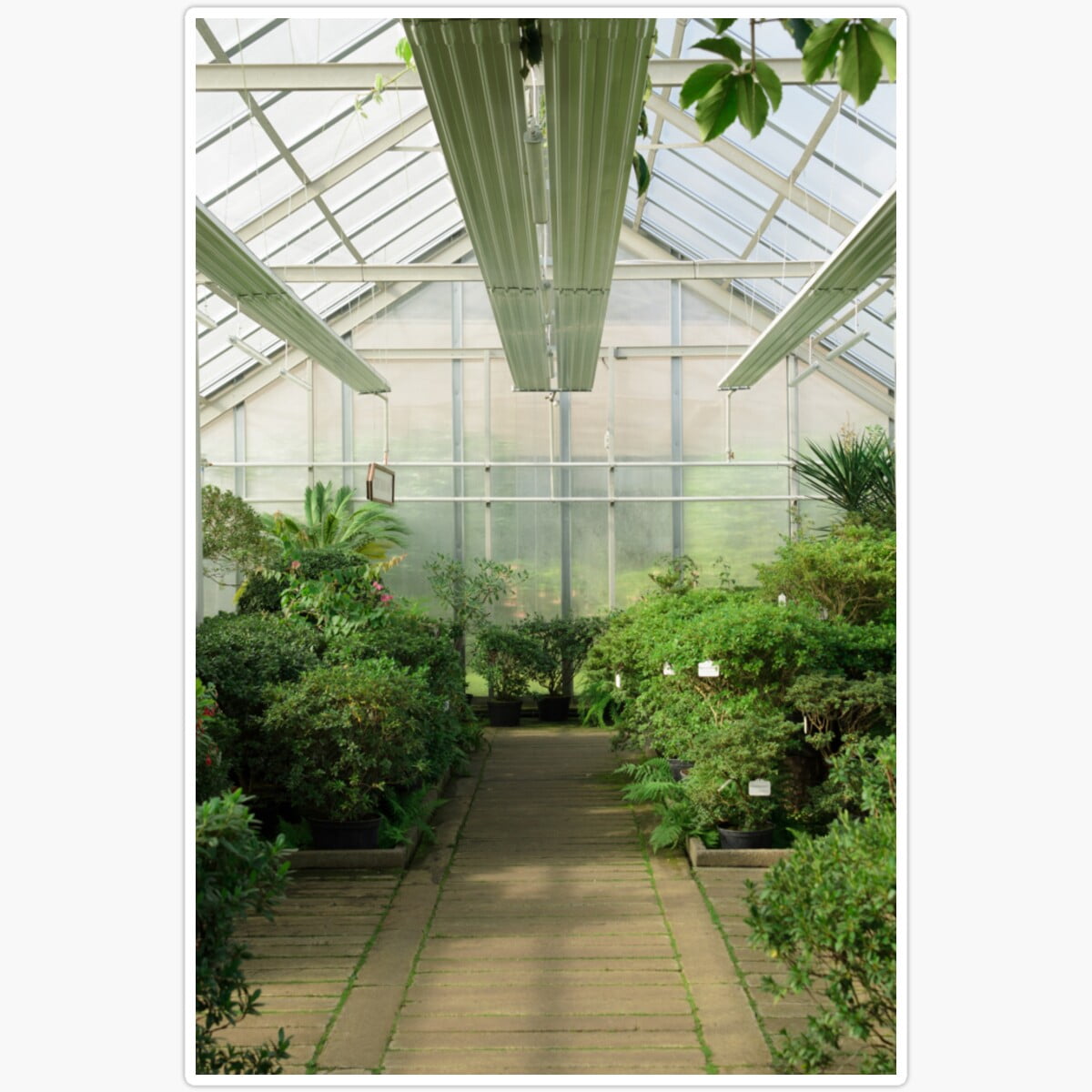Kira Inside Greenhouse Sticker Decorative Laptop, Phone Stickers ...