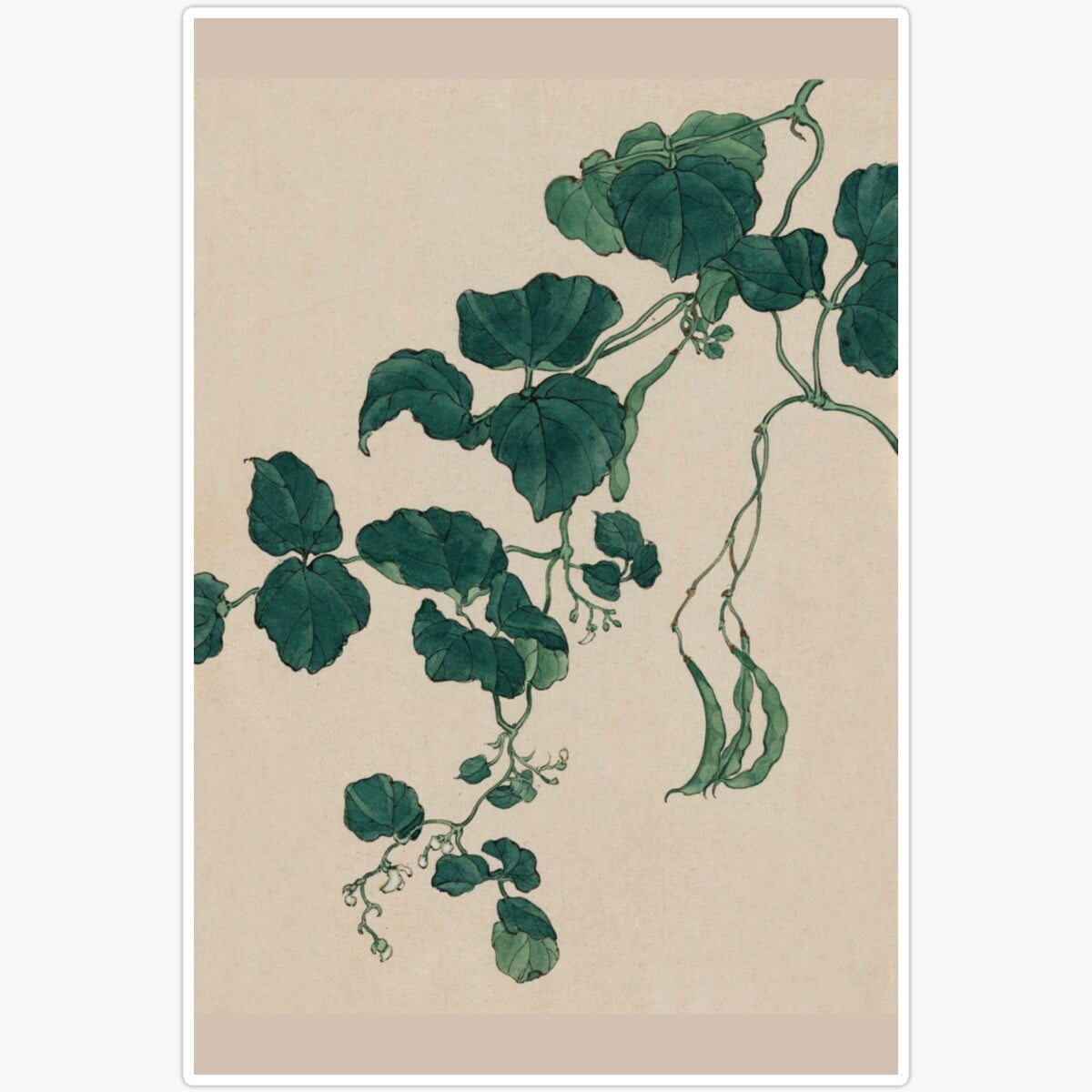 Kira Japanese style art.Bean tree plant Sticker Decorative Laptop ...