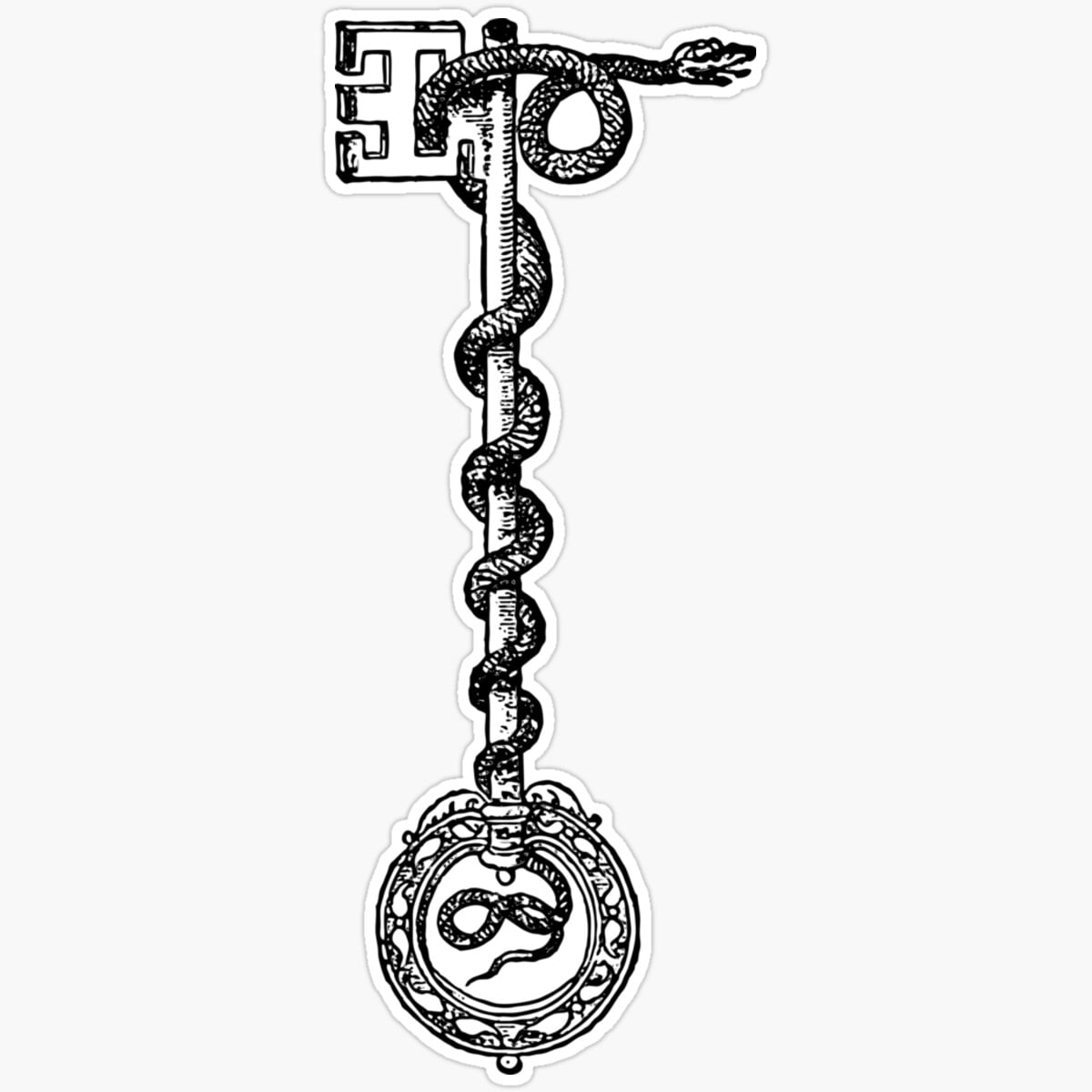 Kira Key & Snake Sticker Decorative Laptop, Phone Stickers, Waterproof ...