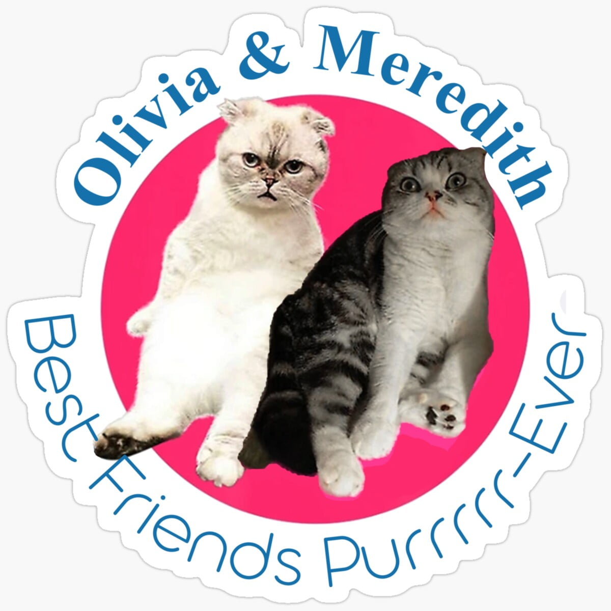 Kira Olivia and Meredith - Best Friends Purrever Glossy Sticker ...