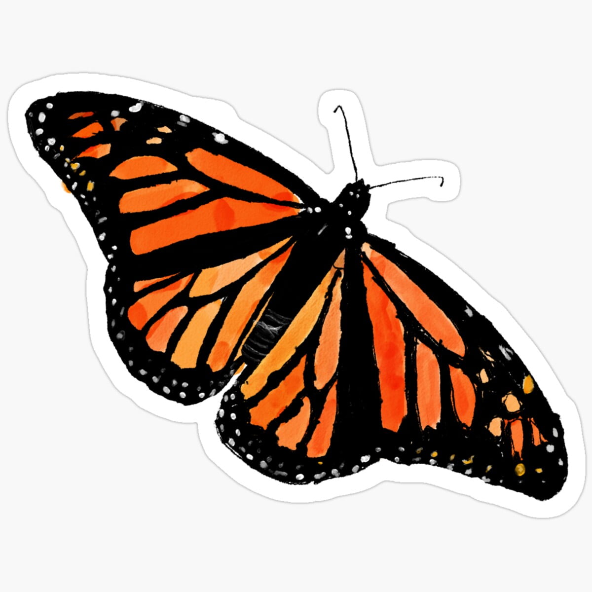 Kira Orange butterfly Sticker Waterproof Sticker for Water Bottles ...