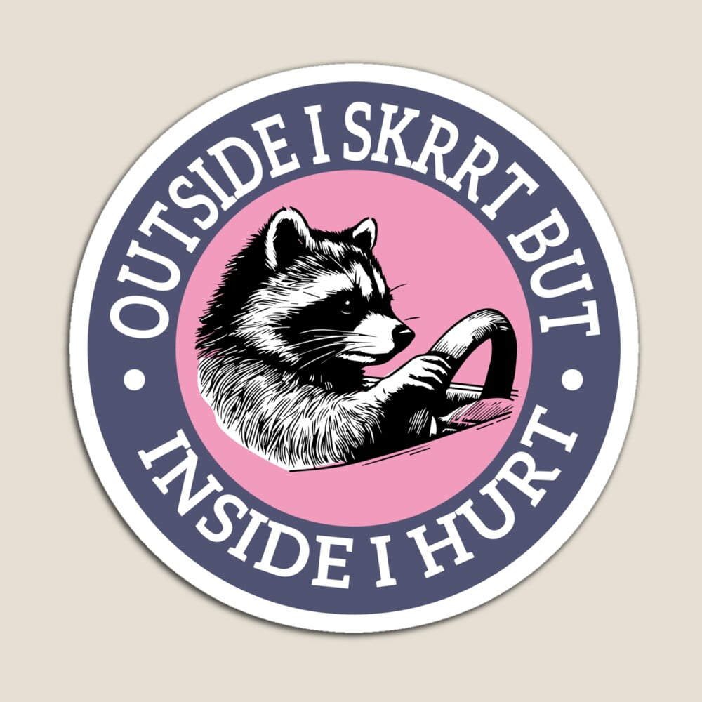 Kira - Outside I Skrrt But Inside I Hurt Funny Driving Funny Sticker ...