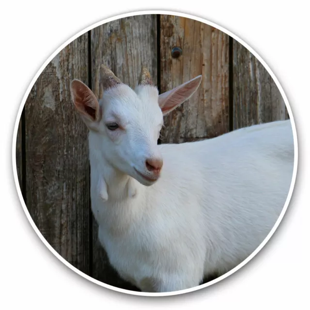 Kira Sticker With Adorable White Goat Farmer Animals Cool Gift ...