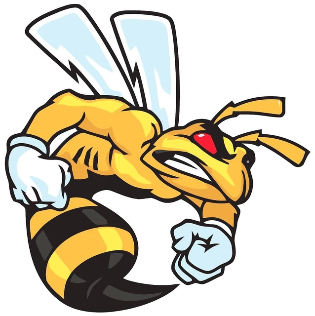 Kira Sticker With Angry Super Bee Logo Vinyl Usa Made Decal Truck ...