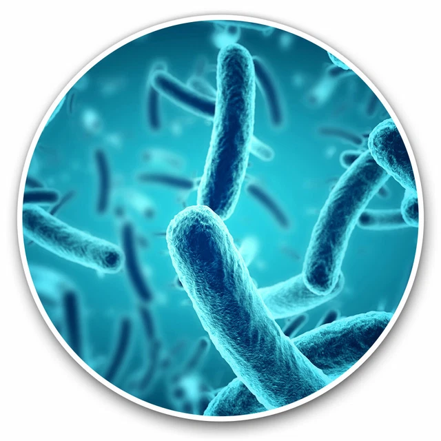 Kira Sticker With Bacteria Germ Biology Science Cool Gift Decorative ...