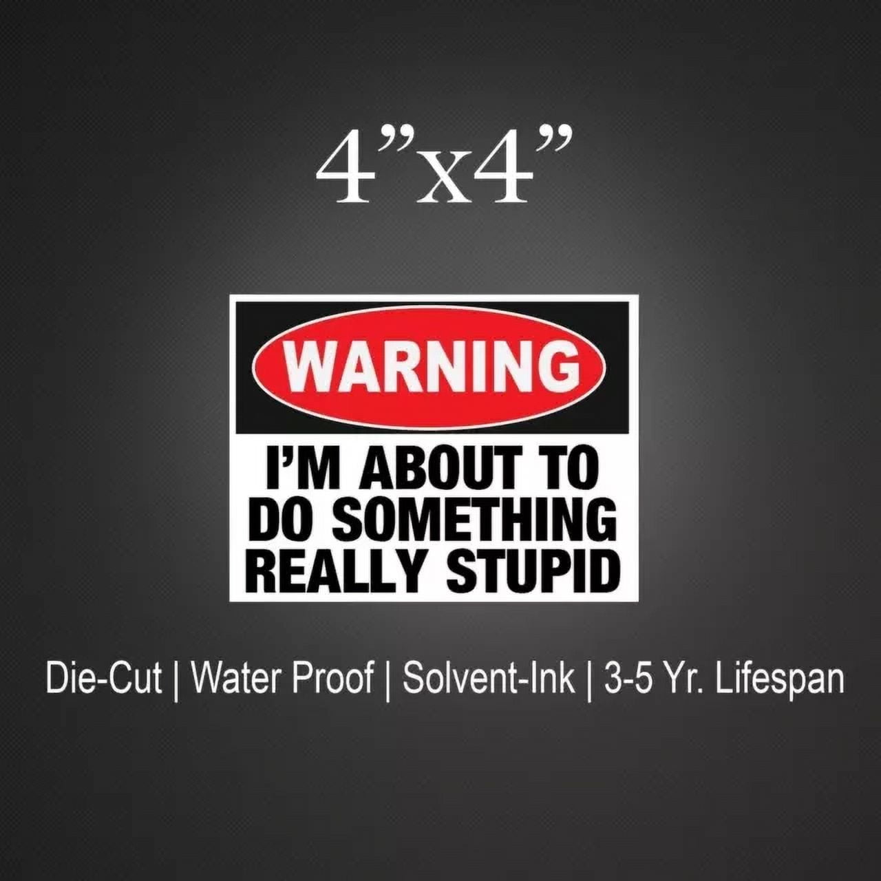 Kira Sticker With Bad Driver Funny Driving Sticker Prank Car Decal ...