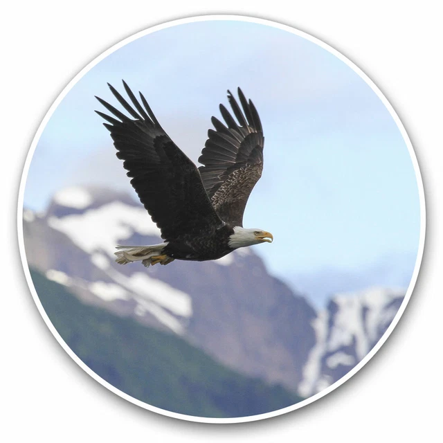 Kira Sticker With Bald Eagle Bird America Usa Cool Gift Decorative ...
