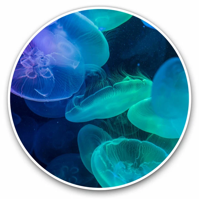 Kira Sticker With Beautiful Jellyfish Blue Sea Creatures Cool Gift ...