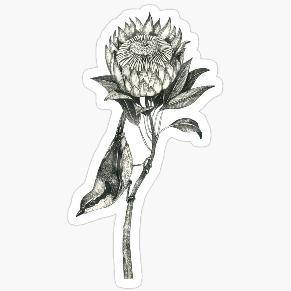 Kira Sticker Bird On Protea Flower On Mustard Yellow Background ...