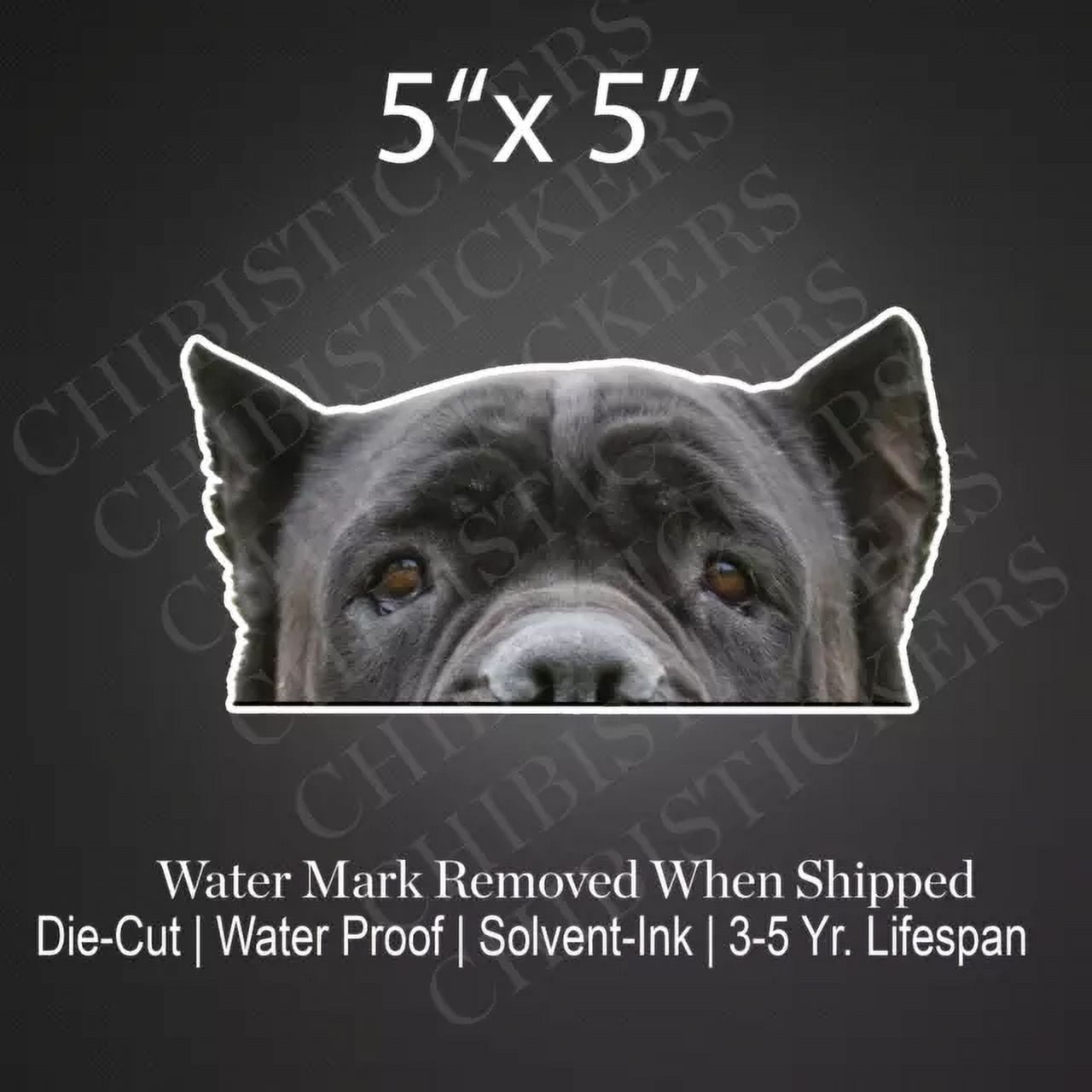 Kira Sticker With Black Cane Corso Italian Mastiff Realistic Dog Peeker ...
