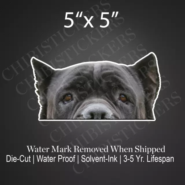 Kira Sticker With Black Cane Corso Italian Mastiff Realistic Dog Vinyl ...