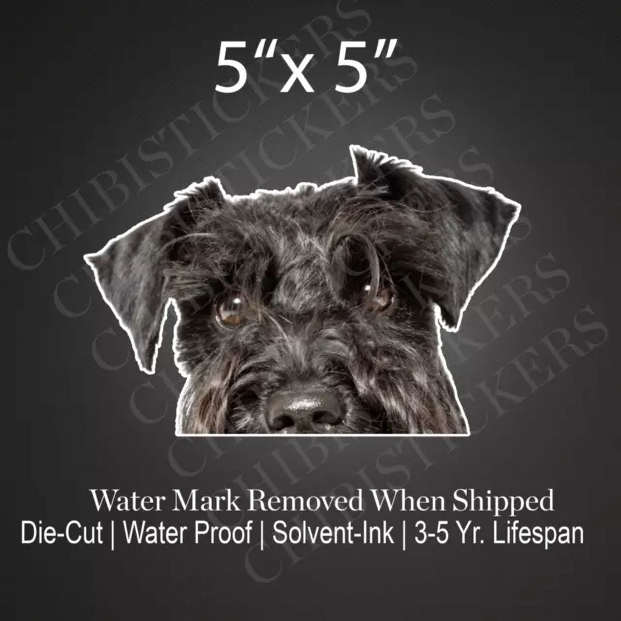 Kira Sticker With Black Miniature Schnauzer Realistic Dog Peeker ...