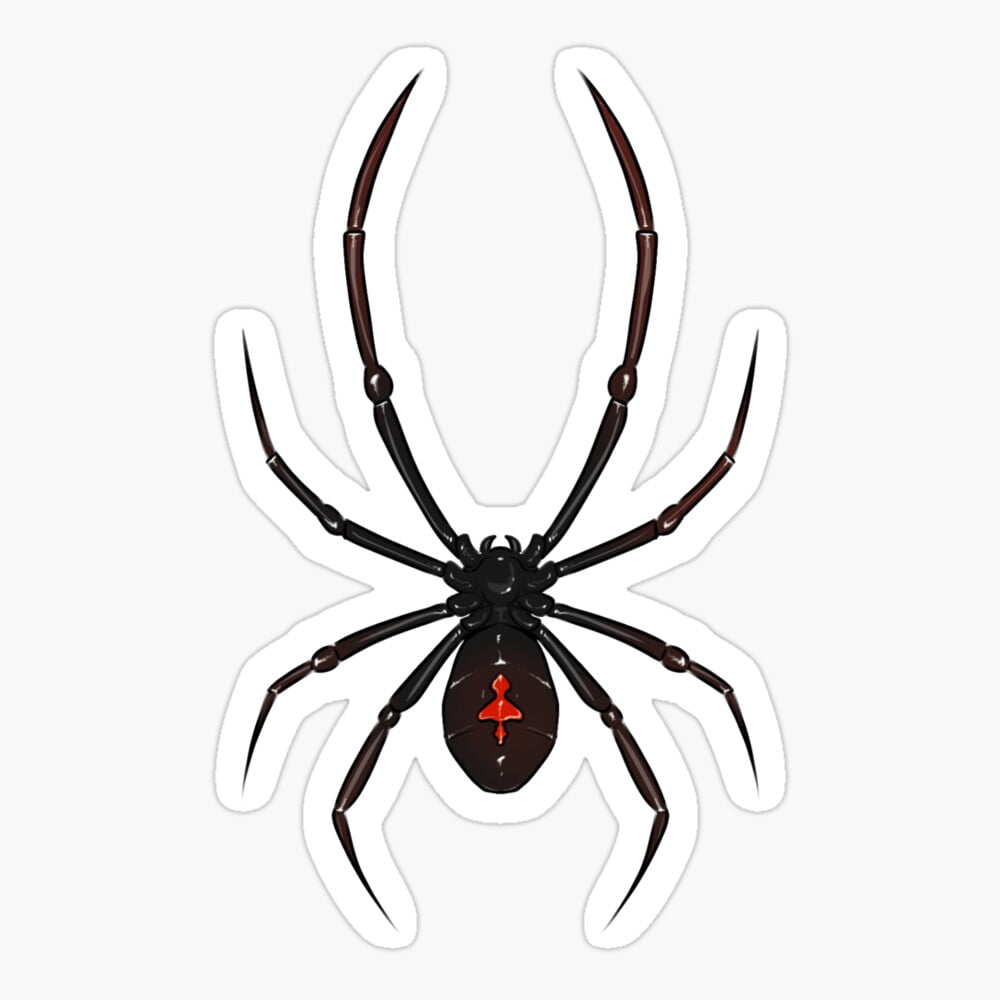 Kira Sticker - Black Widow Spider Gift For You - Phone Stickers ...