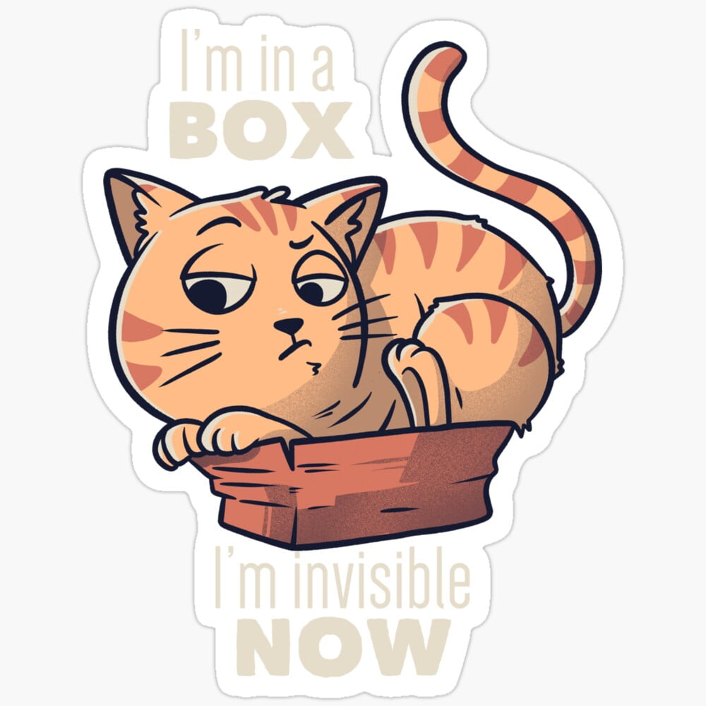 Kira Sticker With I'M In A Box, I'M Invisible Now Cat Gift Decorative ...