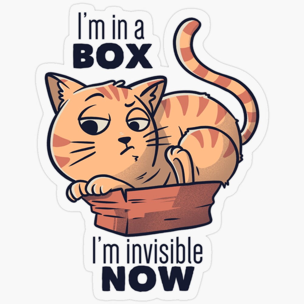 Kira Sticker With I'M In A Box, I'M Invisible Now Cute Cat Gift ...