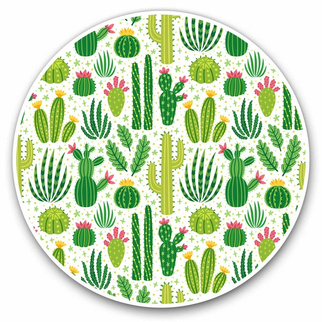 Kira Sticker With Cactus Plant Drawings Cacti Plant Cool Gift ...
