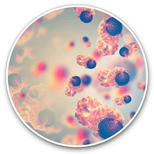 Kira Sticker With Cancer Cells Medical Doctor Cool Gift Decorative Laptop, Phone Stickers ...