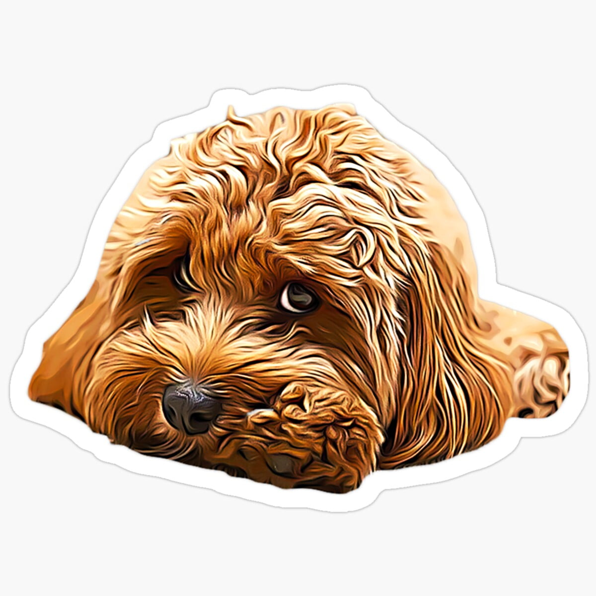 Kira Sticker - Cavapoo Cavoodle Cockerpoo Puppy Designer Dog Poodle Mix ...