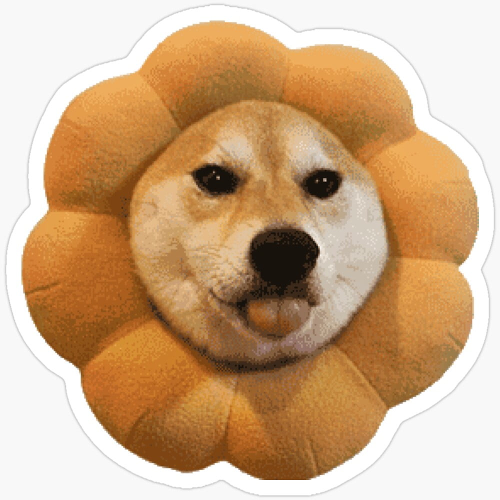 Kira Sticker - Cheems - Phone Stickers, Waterproof Decals Water Bottles ...