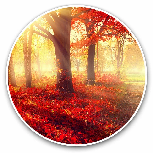 Kira Sticker With Cool Autumn Forest Trees Fall Forest Cool Gift ...