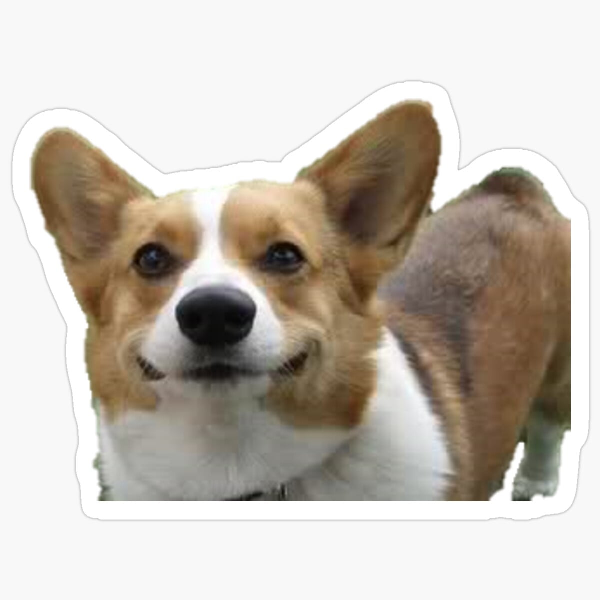 Kira Sticker - Corgi Sticker , Funny Waterproof Decal For Pet Lovers ...