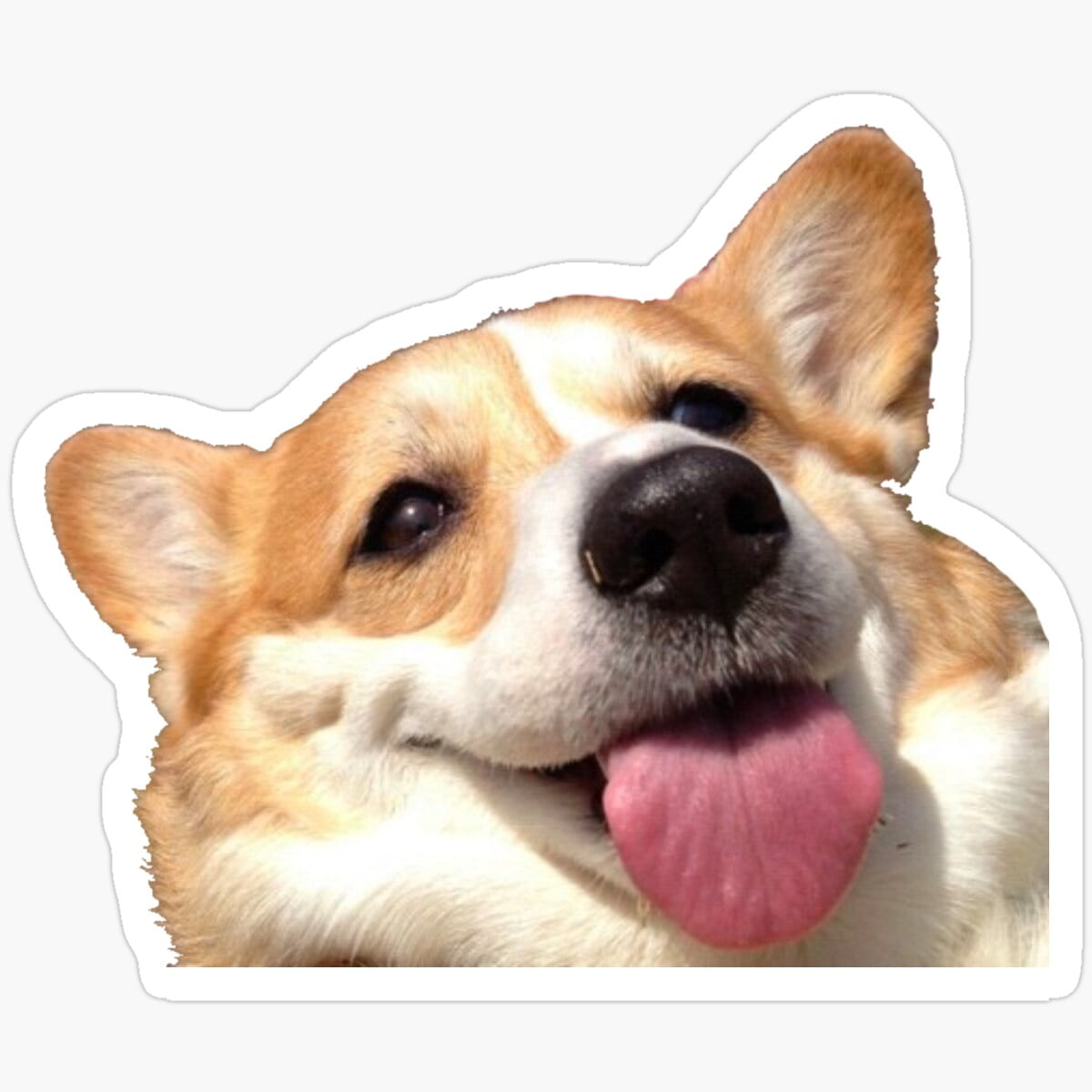 Kira Sticker - Corgi Sticker, Funny Waterproof Decal For Pet Lovers ...