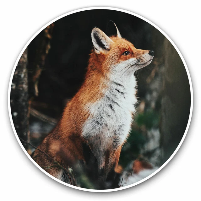 Kira Sticker With Crafty Ginger Fox In Forest Cool Gift Decorative ...