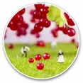 Kira Sticker With Cranberry Farmers Farm Fruit Cool Gift Decorative ...