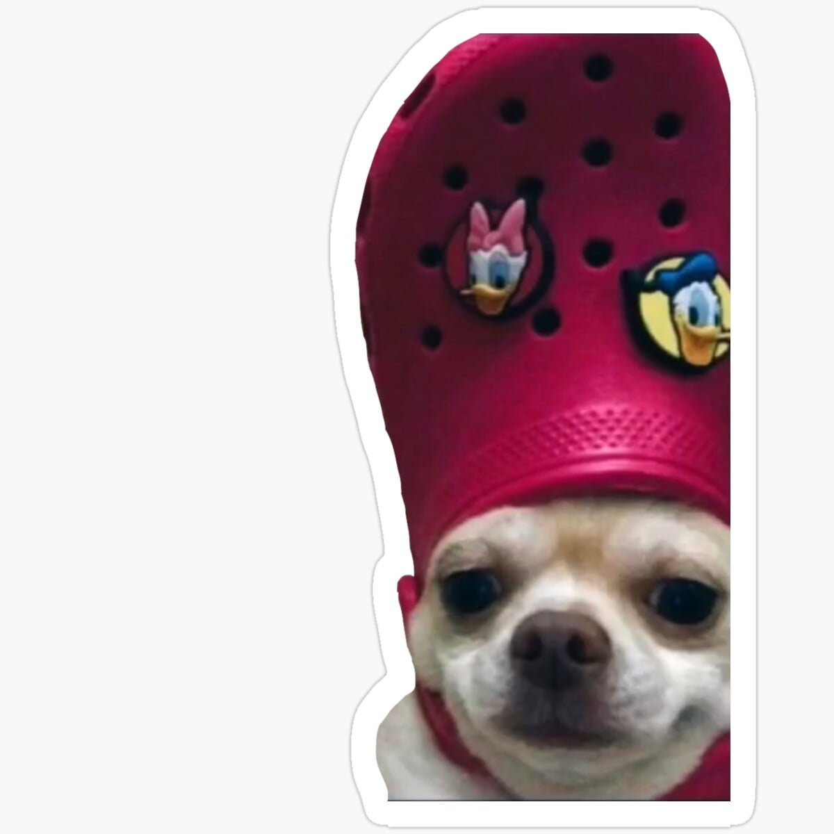 Kira Sticker - Croc Dog Sticker, Funny Waterproof Decal For Pet Lovers ...