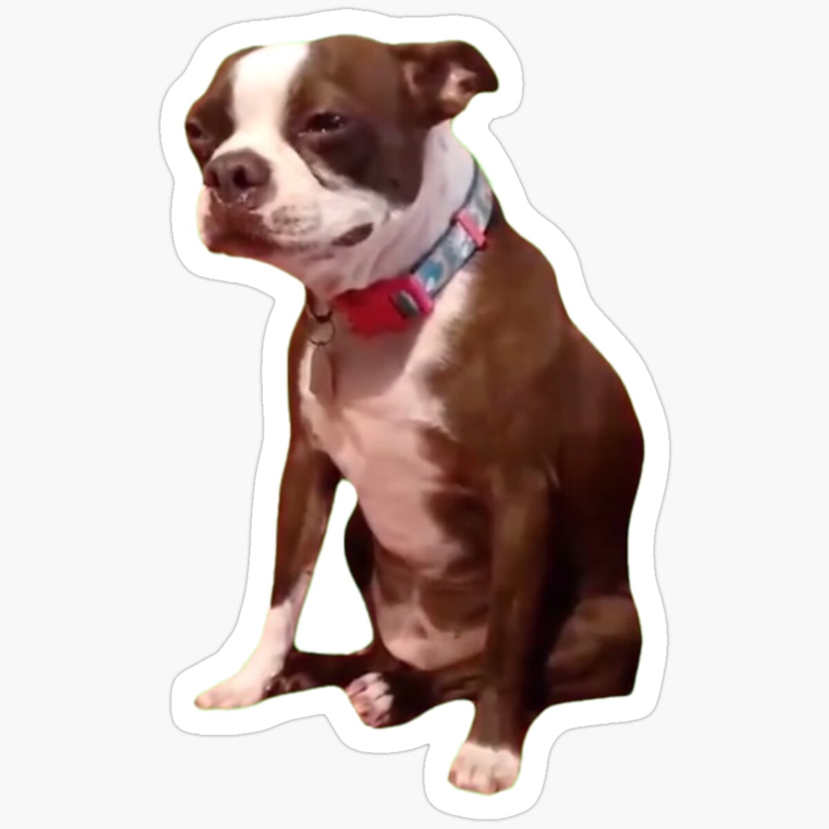 Kira Sticker - Crying Dog Meme Sticker, Funny Waterproof Decal For Pet ...